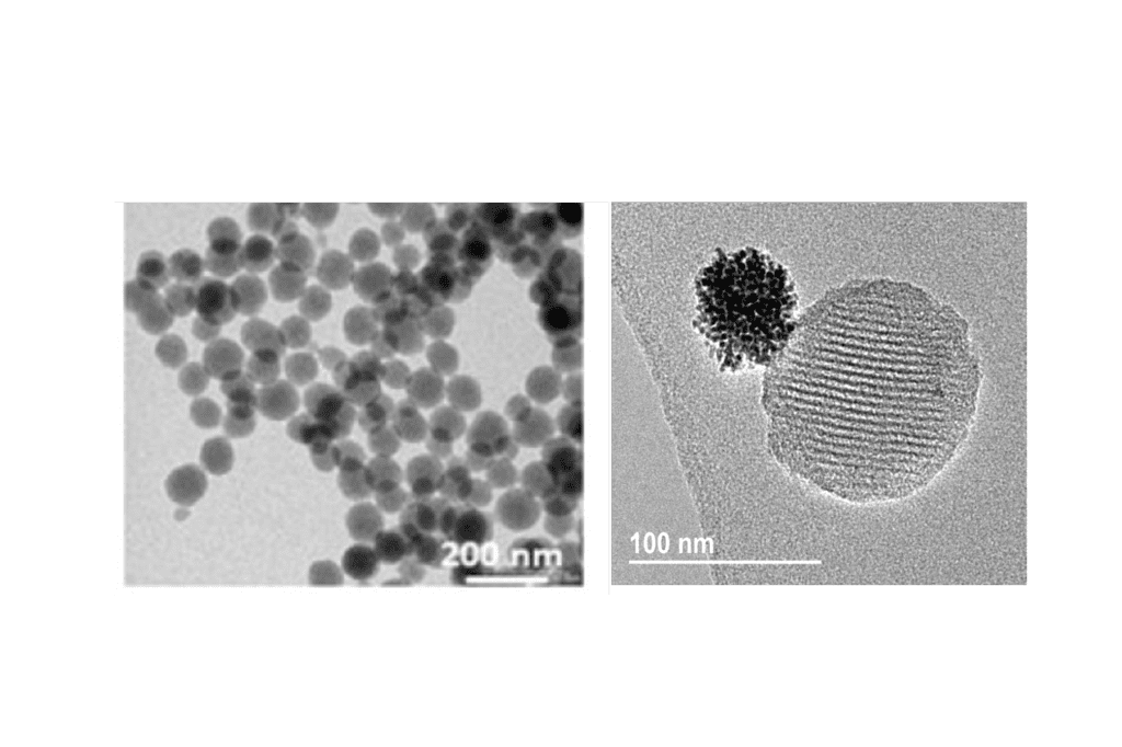 EDISON – ERC Advanced Grant